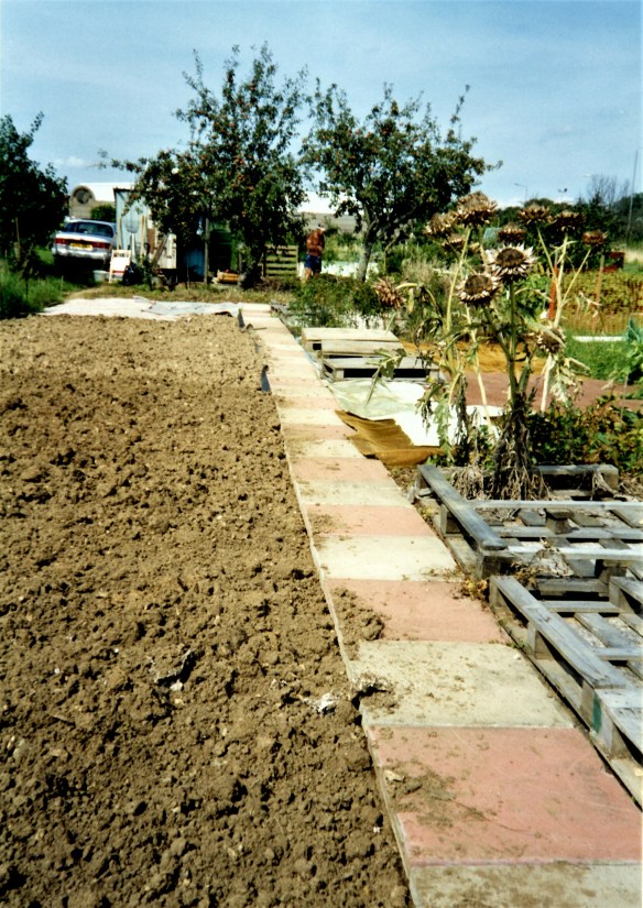 History of the Allotments | Woodley Allotments Tenants Association at ...