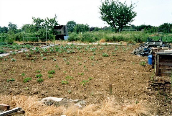 History of the Allotments | Woodley Allotments Tenants Association at ...