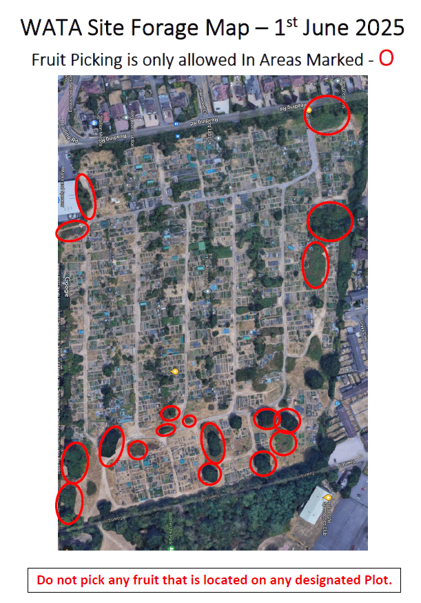 WATA Site – Fruit Foraging/Picking Map | Woodley Allotments Tenants ...